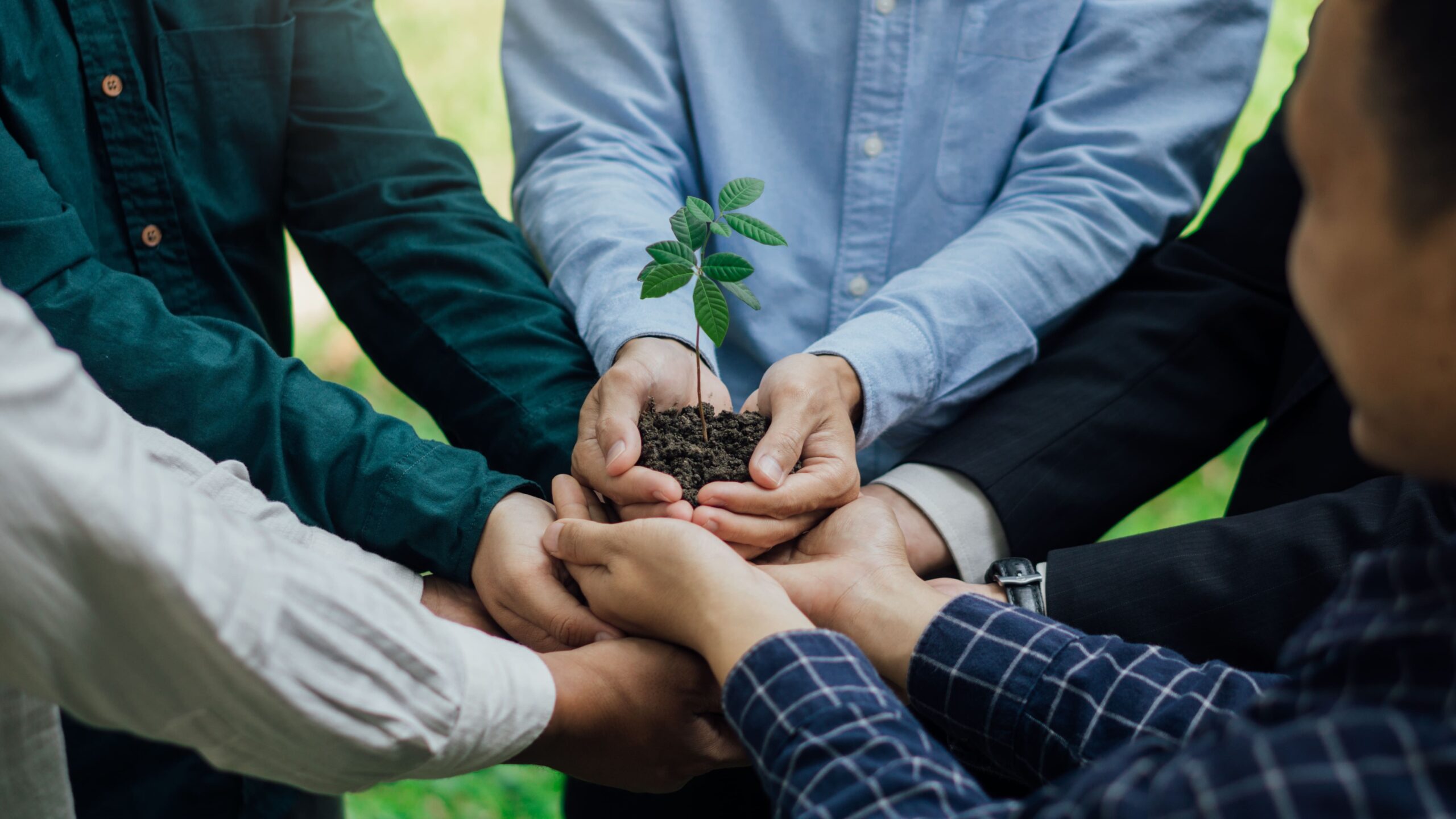 Dia Mundial do Meio Ambiente, ESG e Comunicação Interna: entenda a relação